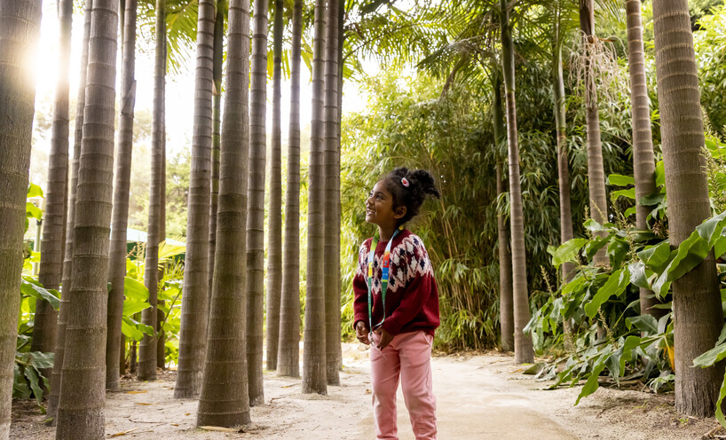 VIC州の大自然を体験しながら学べるネイチャーフェスティバル | JAMS.TV オーストラリア生活情報ウェブサイト